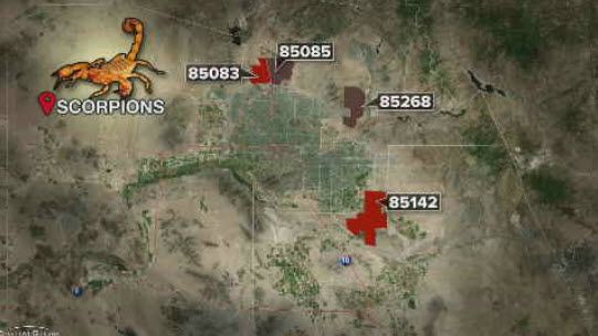 Valley bug zones show where pests are most likely to appear - Arizona's ...